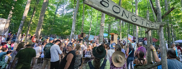 Song Tree – Blissfest Music Organization